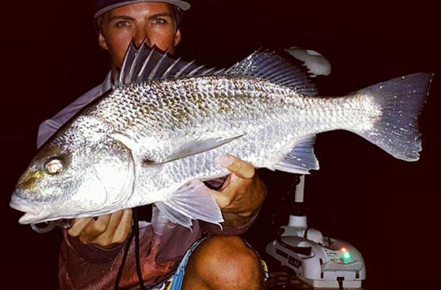 Become a grunter hunter - Fishing for Grunter - Addict Tackle