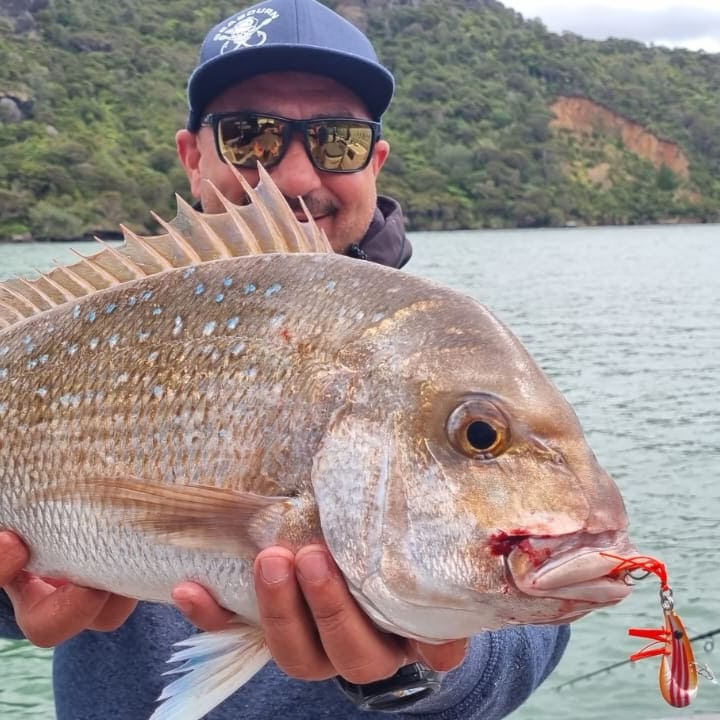 Loco Prawn - Addict Tackle